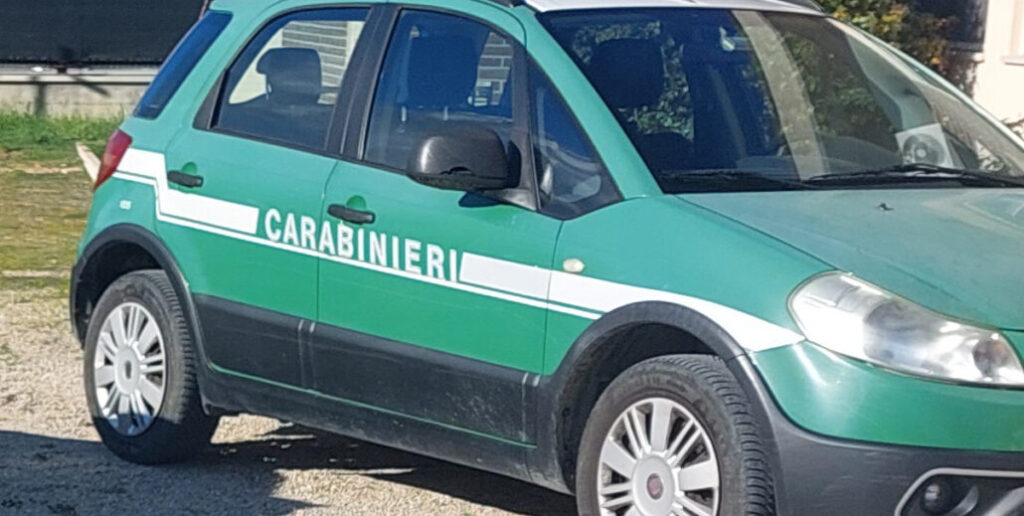 Pesca illegale al lago di Bomba, sanzioni e 20 carpe liberate – Notizie ...