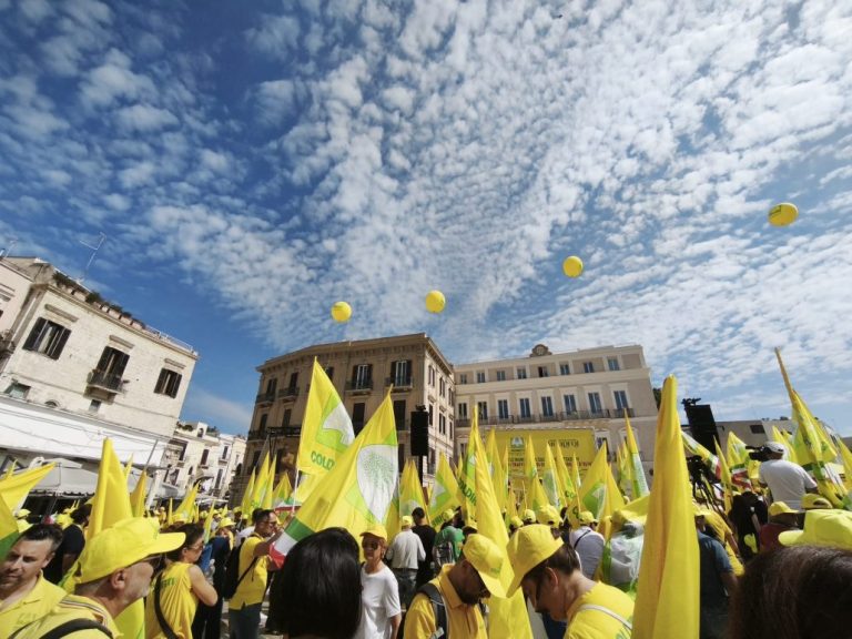 Olio extravergine, Coldiretti Abruzzo a Bari contro speculazioni e ...